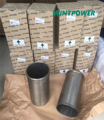 China Perkins 1106D-E66tag2 Engine Part 2871A309 2873K631 2674A271 ...